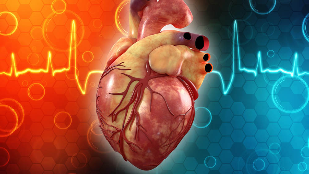 Promueven la prevención temprana de las cardiopatías congénitas | CMKX ...