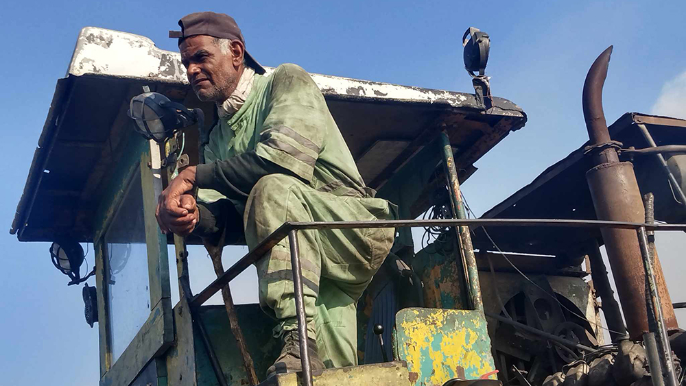 🔊 César Manuel, cerca de cuatro décadas en el corte de caña (+ audio ...