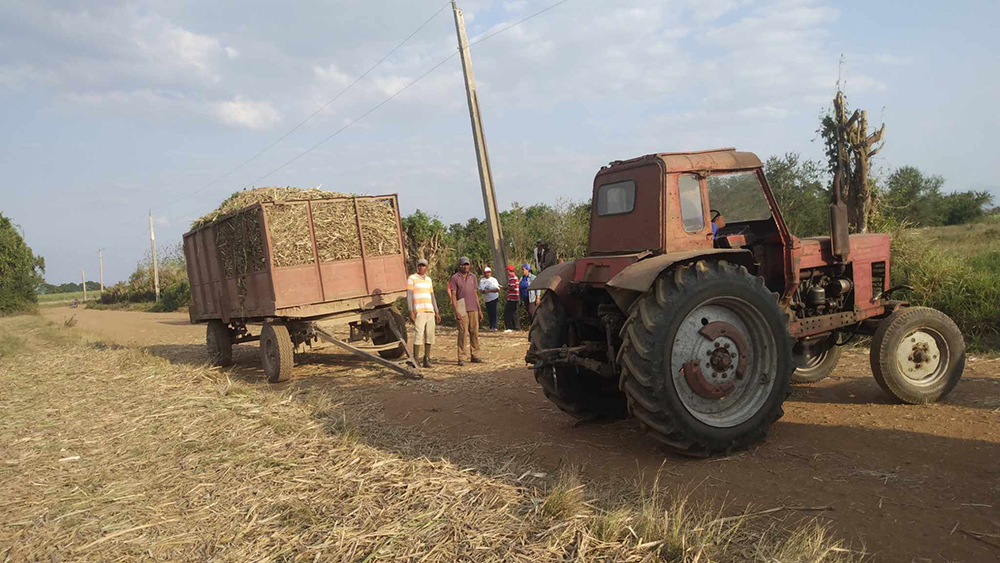 🔊 Muestra Cooperativa de Producción Agropecuaria Primer Soviet de Mabay ...