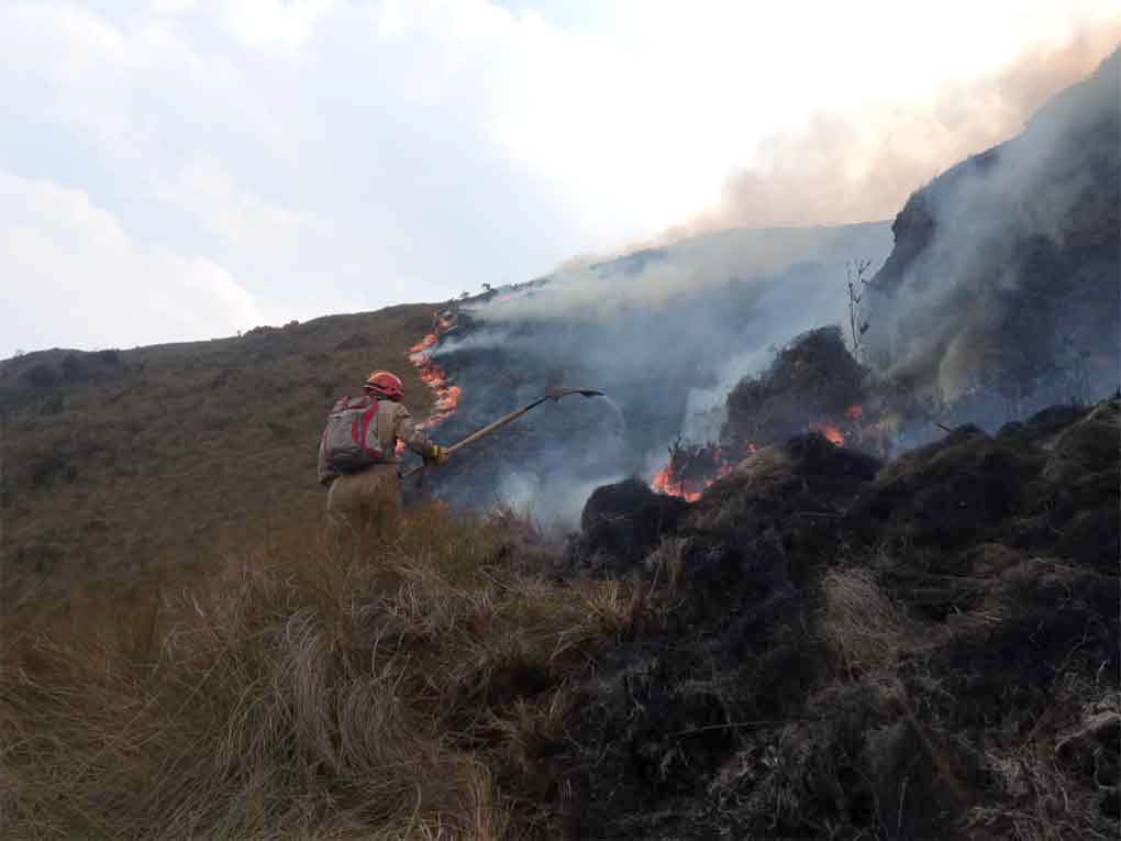 Ecuador tiene 17 incendios forestales activos | CMKX Radio Bayamo